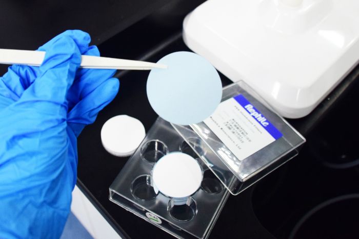 Atossa and Nona partner on antibody research for breast cancer ...